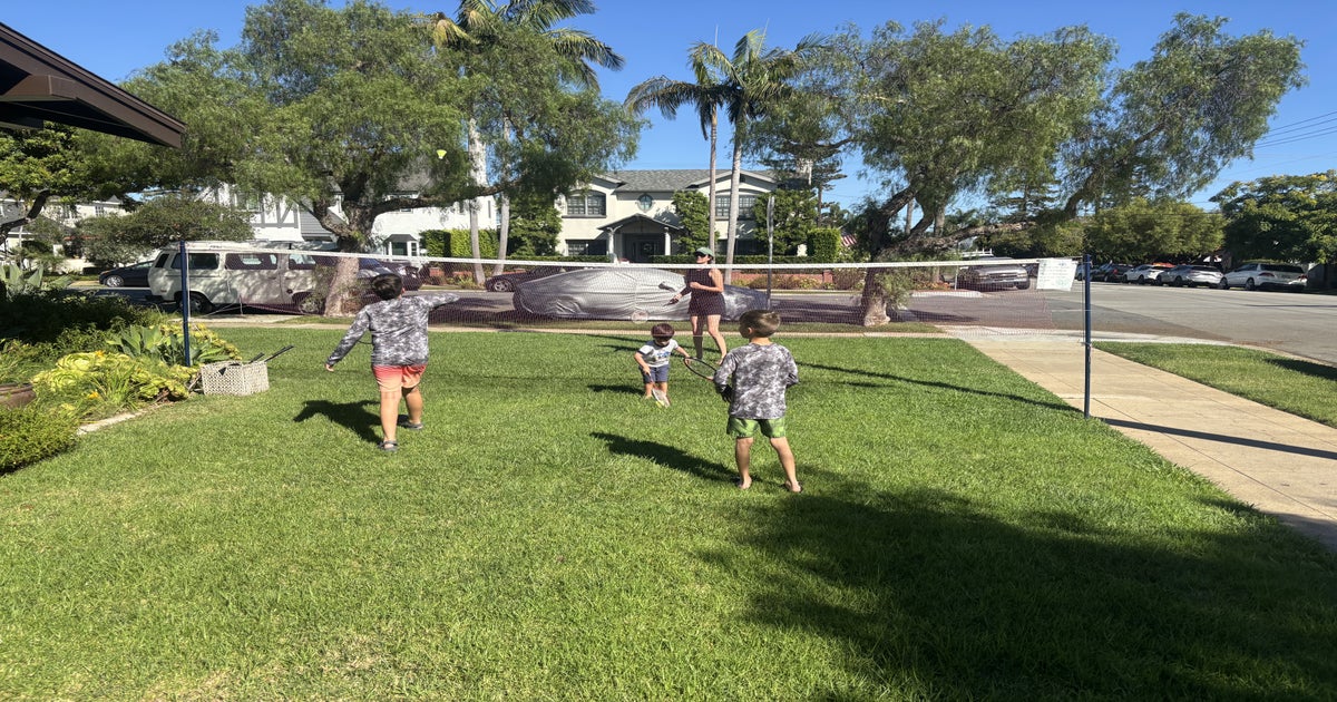 Community Badminton Setup for Outdoor Play